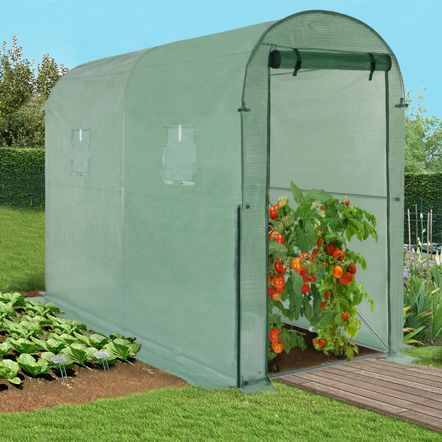 FreshHarbor GreenHouse - Fine Living – Calasca